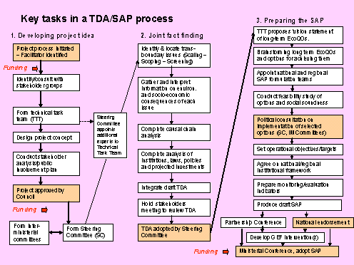 The TDA/SAP process